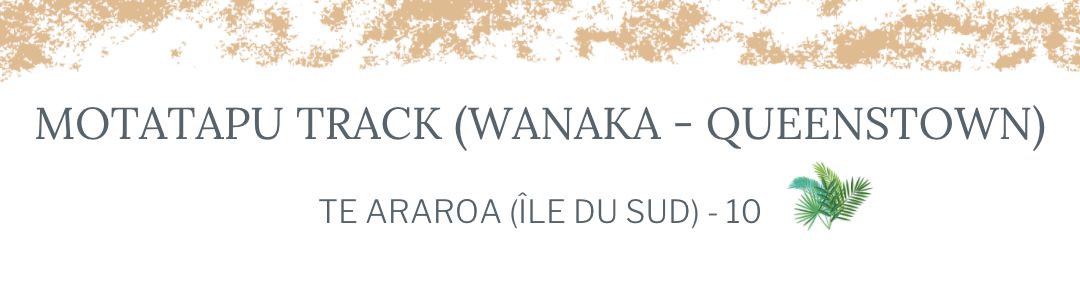 Te Araroa (île du sud) - Motatapu Track - Section 10